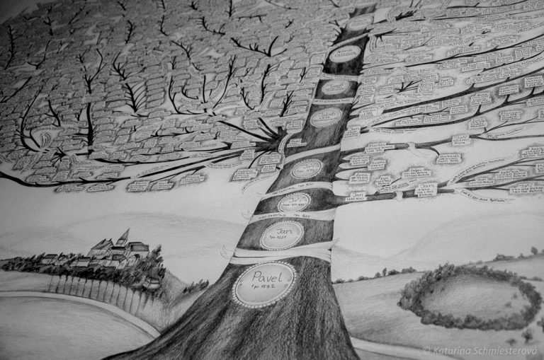 Marek Šefčík » Rodostrom